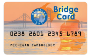 Michigan Bridge Card Check Balance - MI Bridges